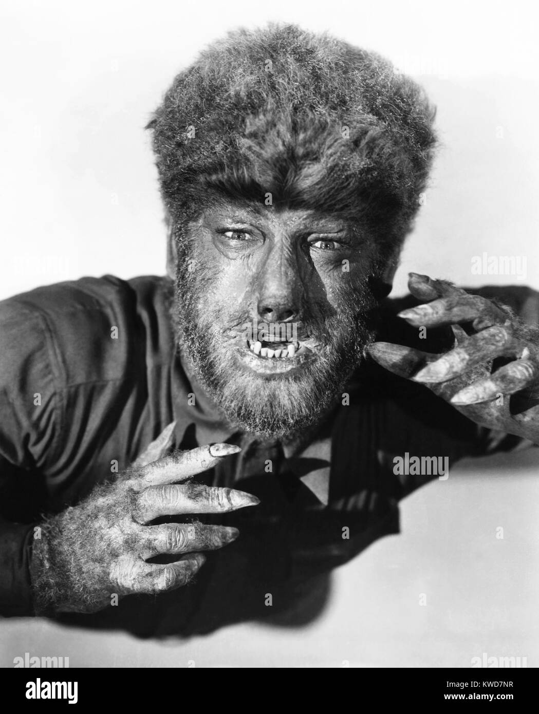 THE WOLF MAN, Lon Chaney, Jr., 1941 Stock Photo - Alamy