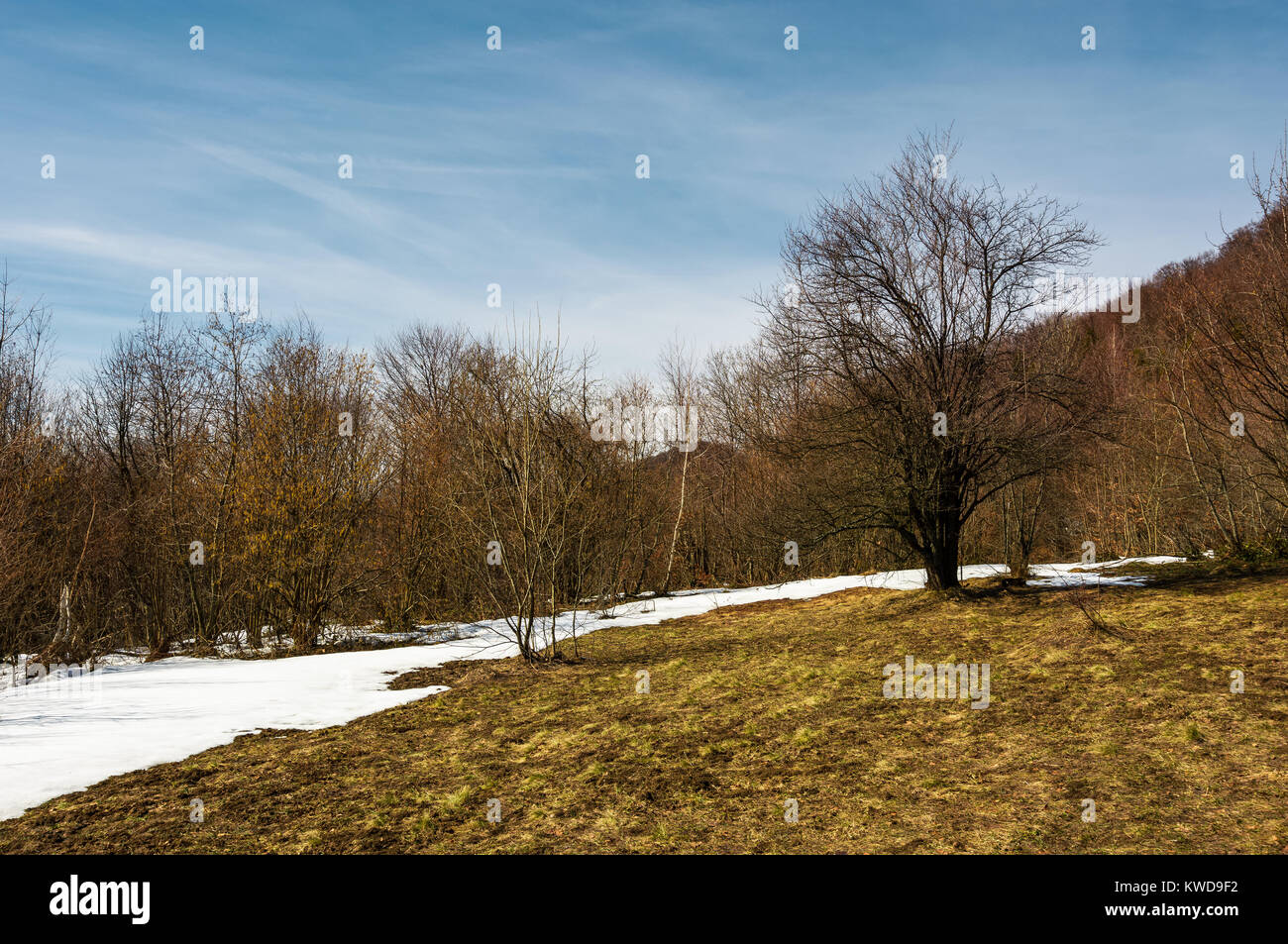 Weathered snow hi-res stock photography and images - Alamy