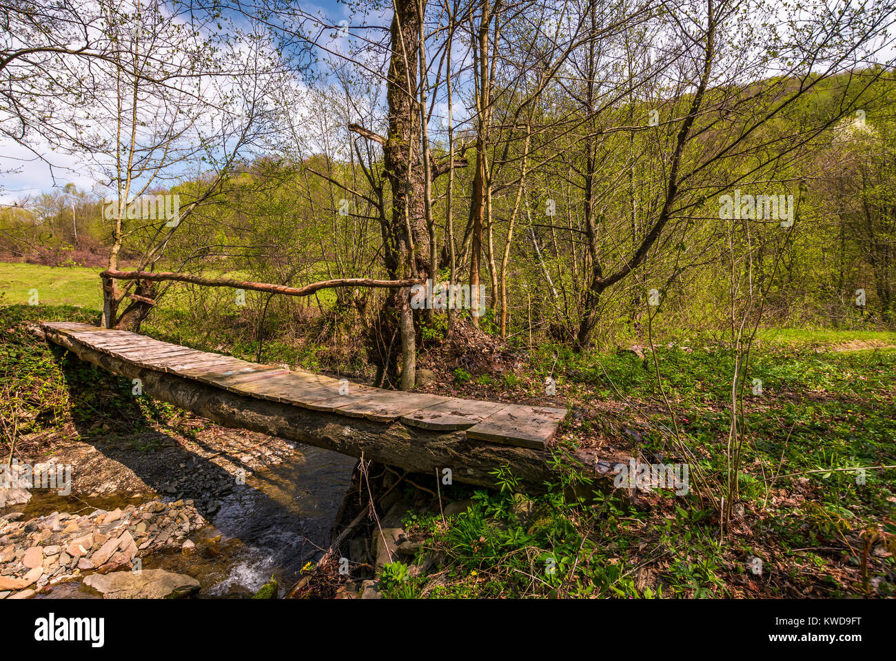 wooden bridge through forest stream. beautiful nature scenery in ...