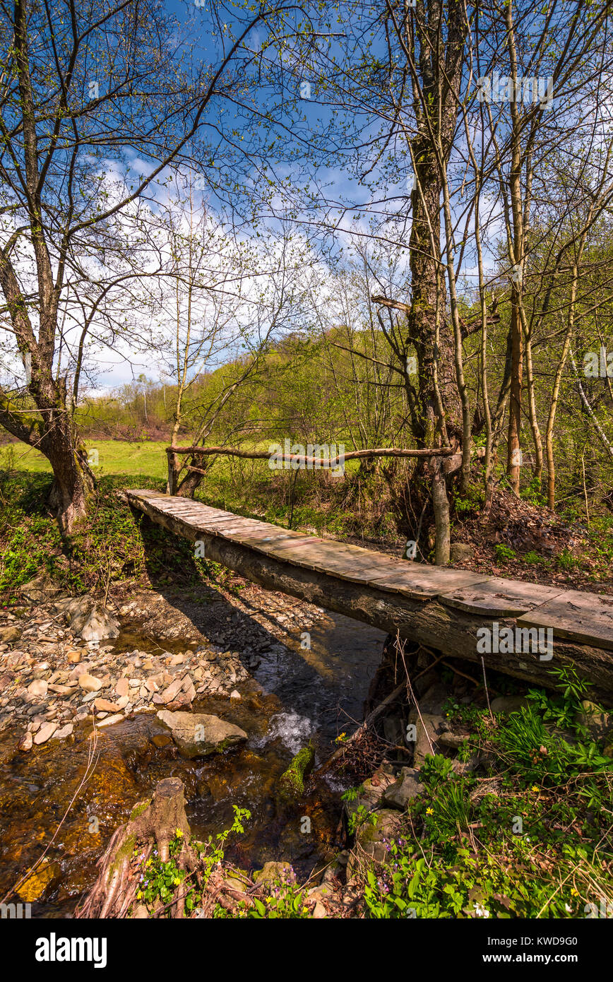 wooden bridge through forest stream. beautiful nature scenery in ...