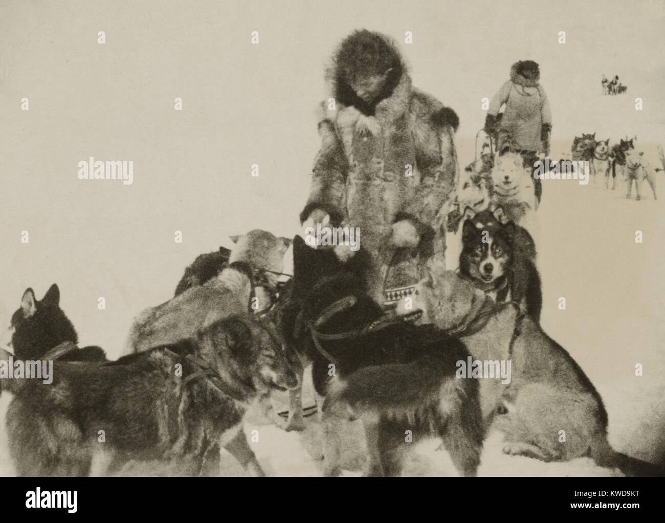 Leonhard seppala hi-res stock photography and images - Alamy