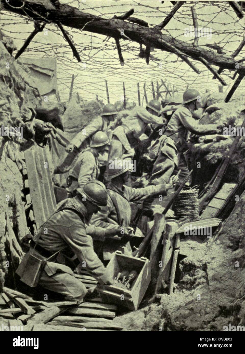 World war one bayonet charge hi-res stock photography and images - Alamy