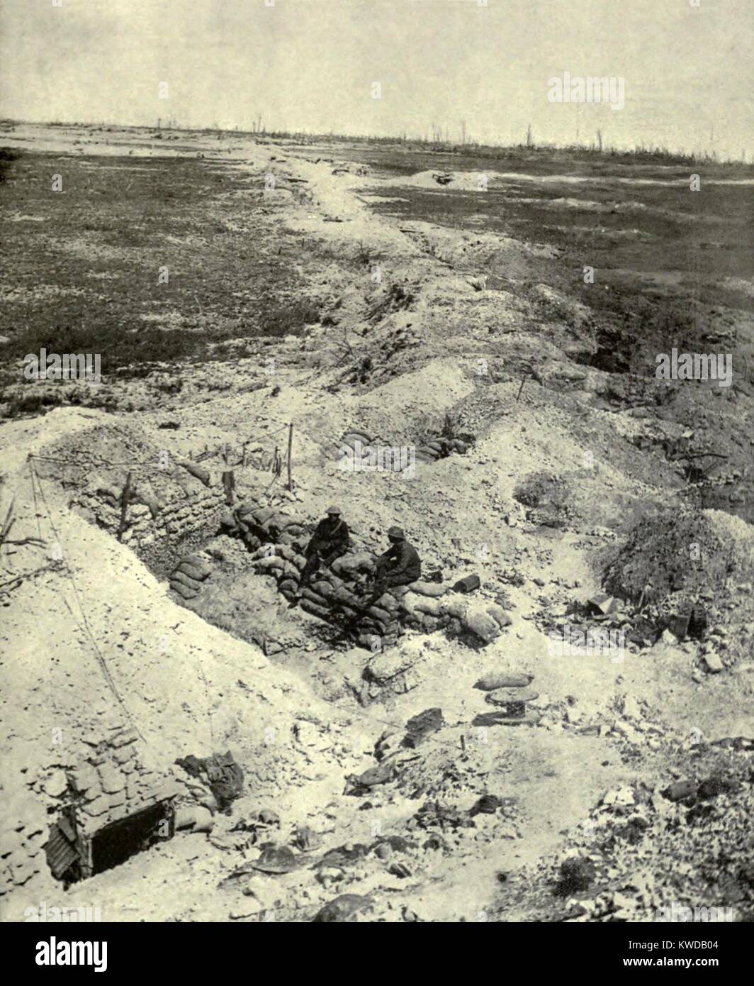 Somme battlefield 1916 trees High Resolution Stock Photography and ...