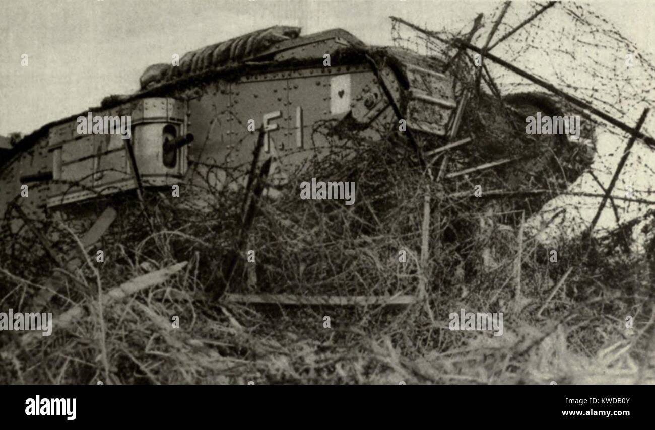 Ww1 battlefield barbed wire hi-res stock photography and images - Alamy