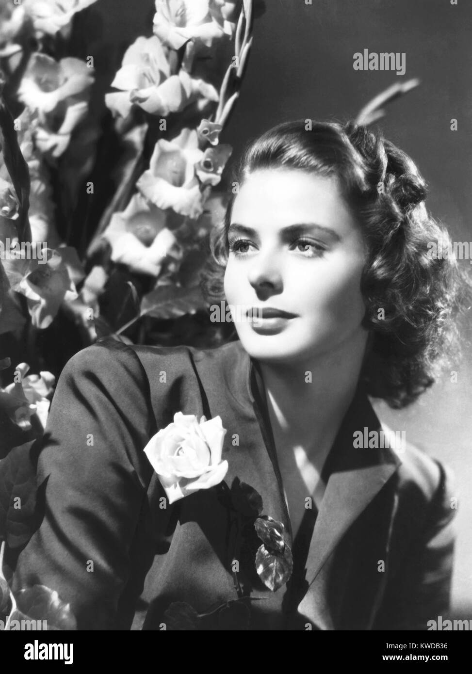 Ingrid Bergman, ca. 1940 Stock Photo - Alamy