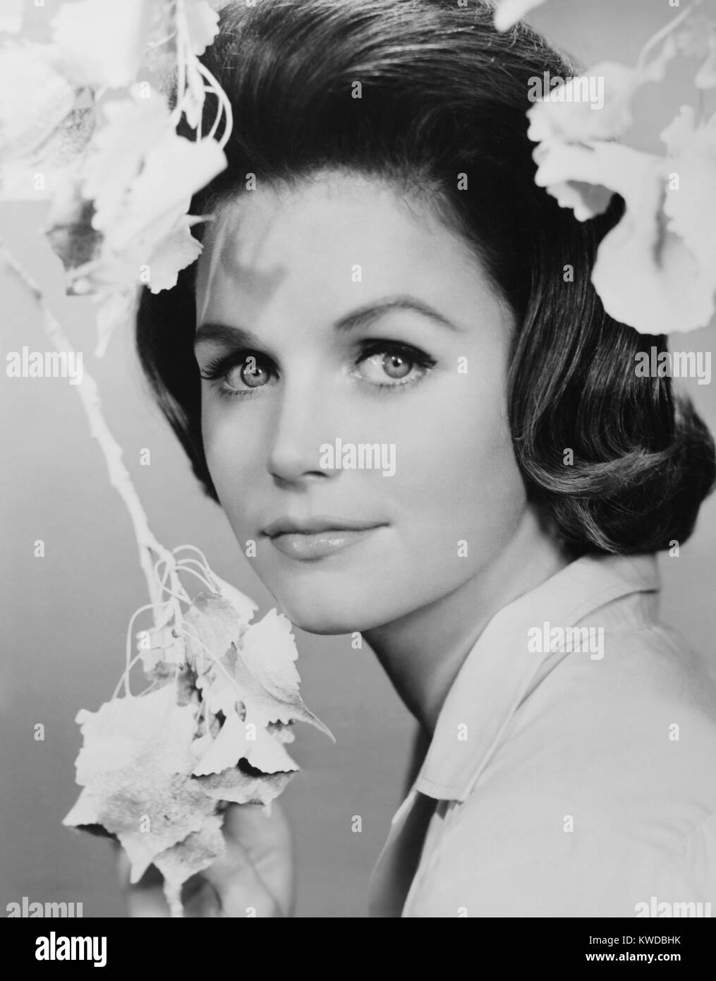 Lee Remick, 1961 Stock Photo - Alamy
