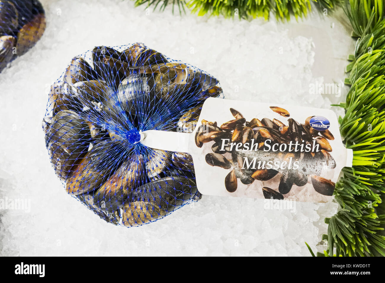 Scottish shellfish hi-res stock photography and images - Alamy