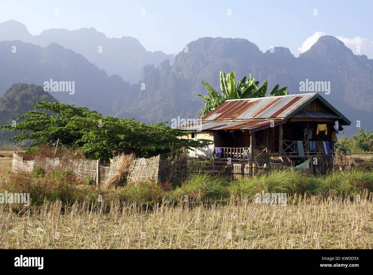 Small house on the field in Laos Stock Photo - Alamy