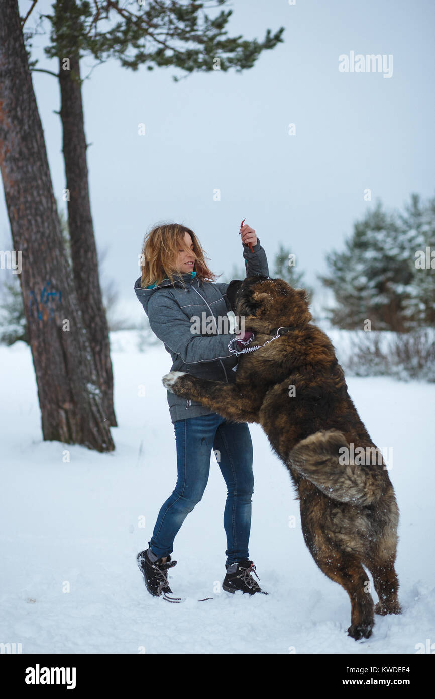 Beautiful young woman big dog hi-res stock photography and images - Alamy