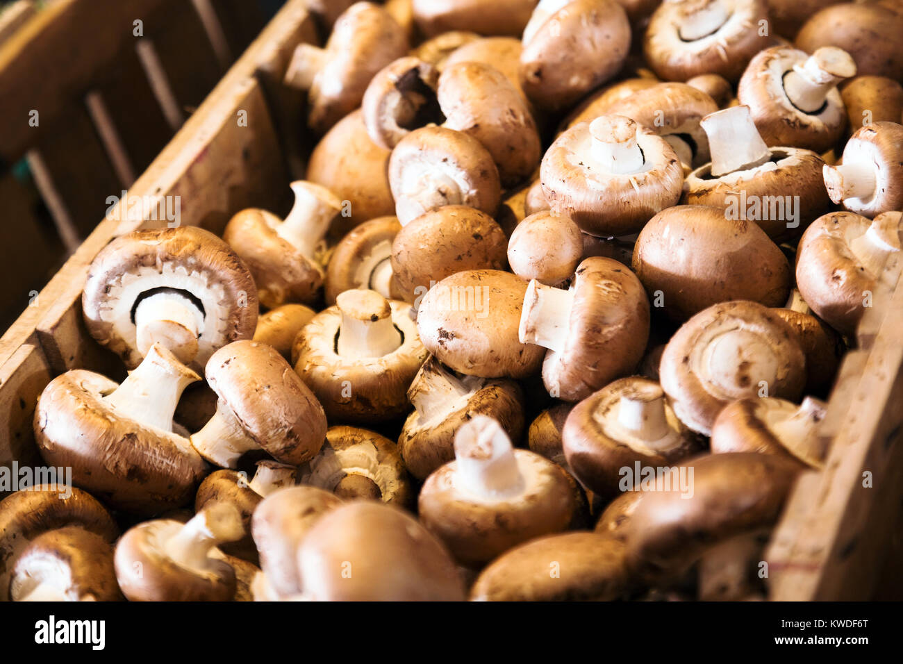 Closeup view on fresh field mushrooms in basket in food store Stock ...