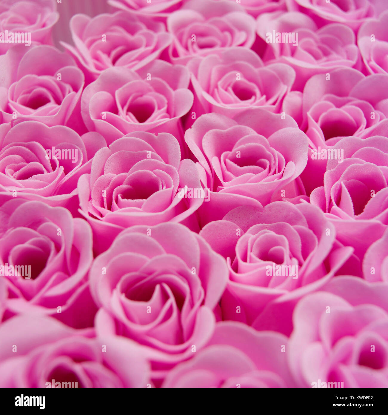 Artificial pink roses Stock Photo - Alamy
