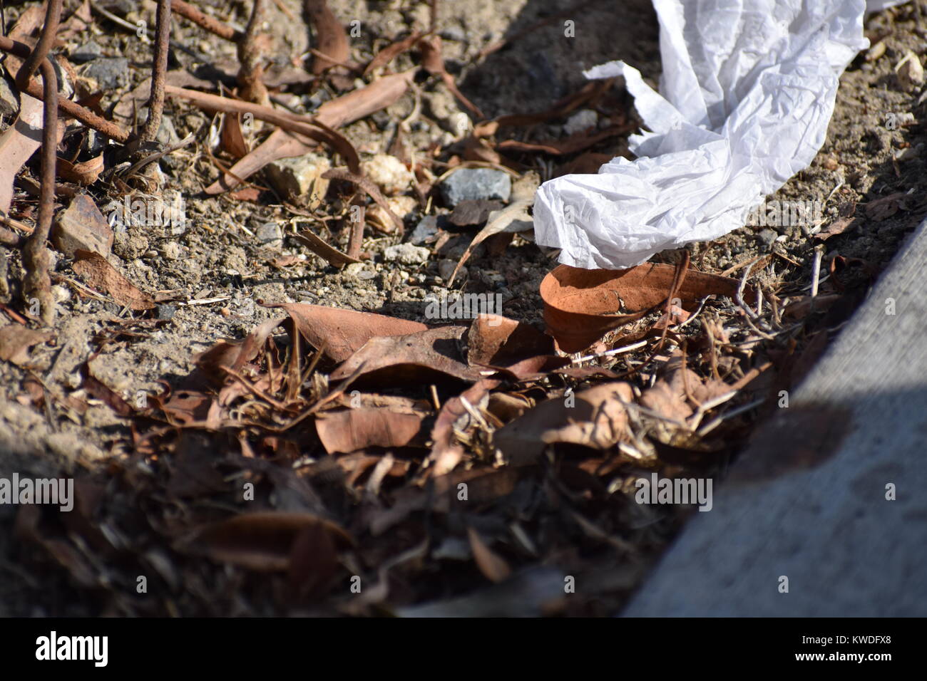 Trash on the ground Stock Photo - Alamy