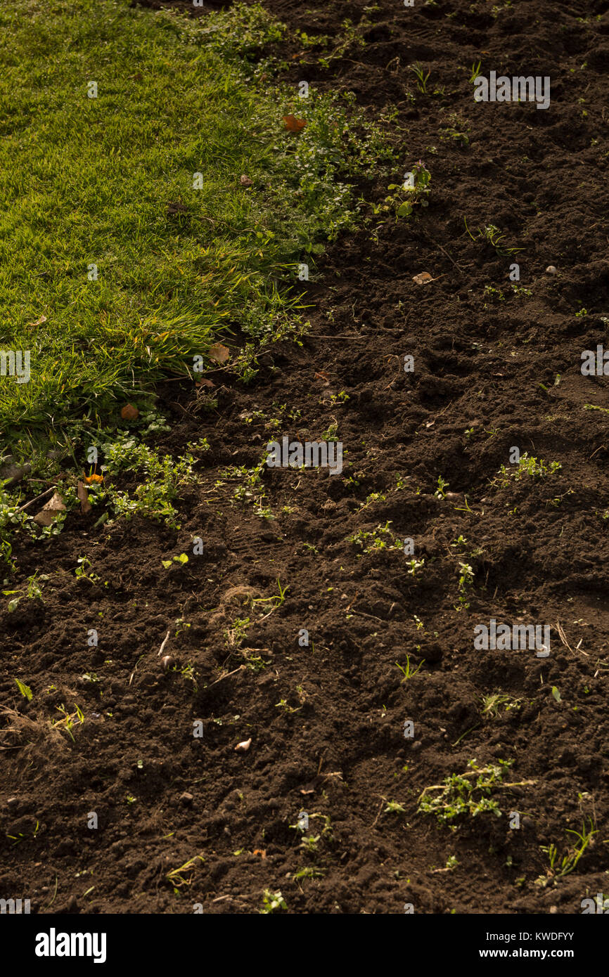 Detail of fertile land in a garden Stock Photo - Alamy