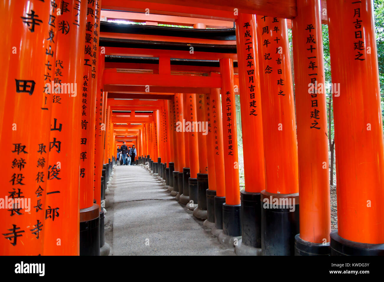 Tourists walking at the torii corridors in Fushimi Inari, a path up to ...