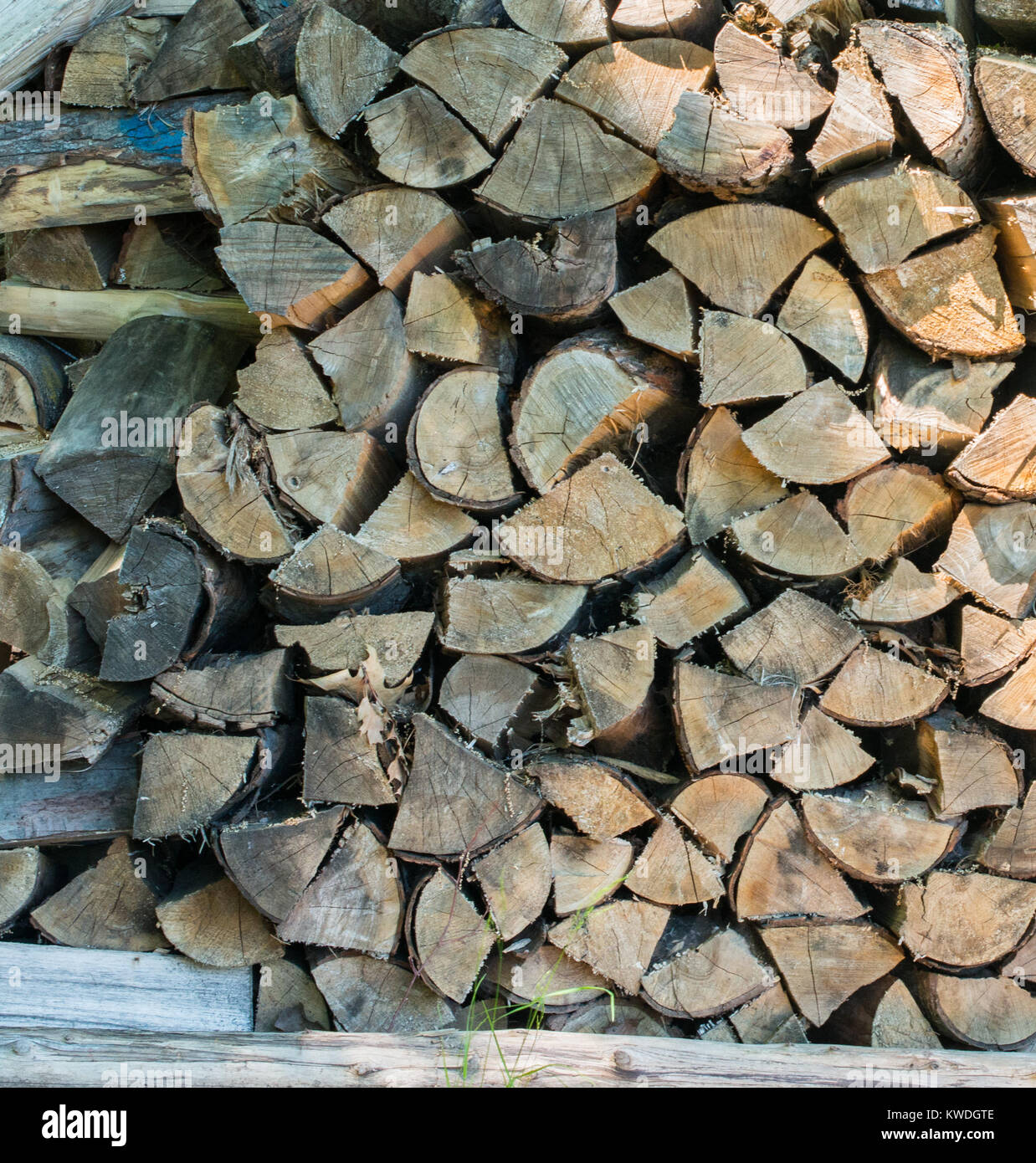 Season outside hi-res stock photography and images - Alamy