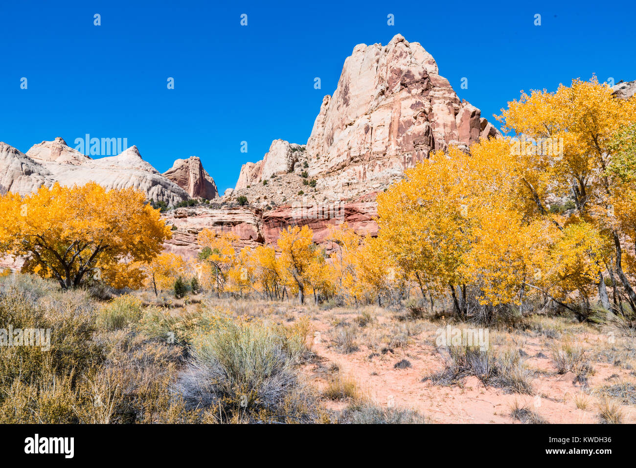 Autumn in the Fruita Historic District of Capitol Reef National Park ...