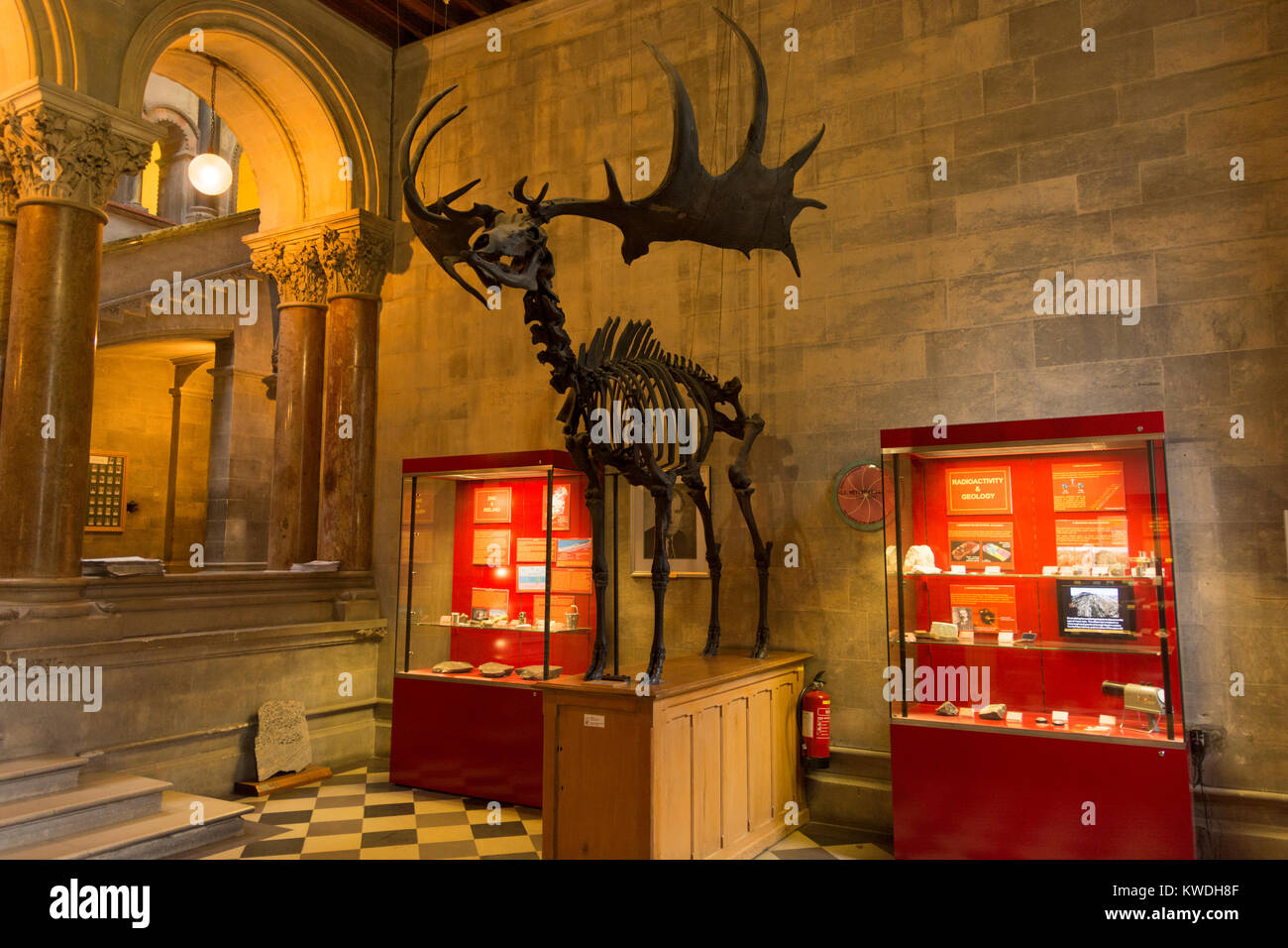 Museum building. Geology Department. Designed by Thomas Deane and ...