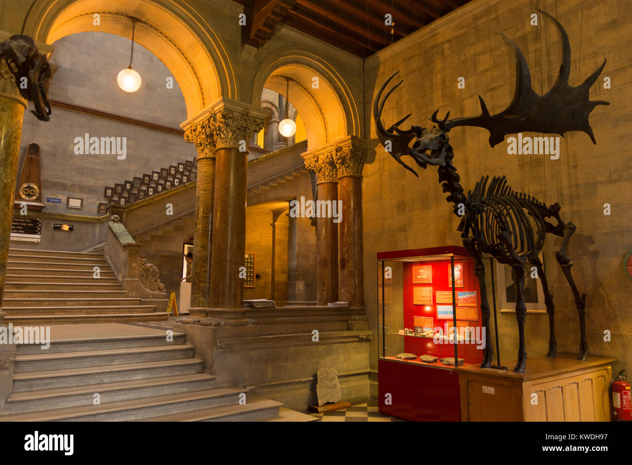 Museum building. Geology Department. Designed by Thomas Deane and ...