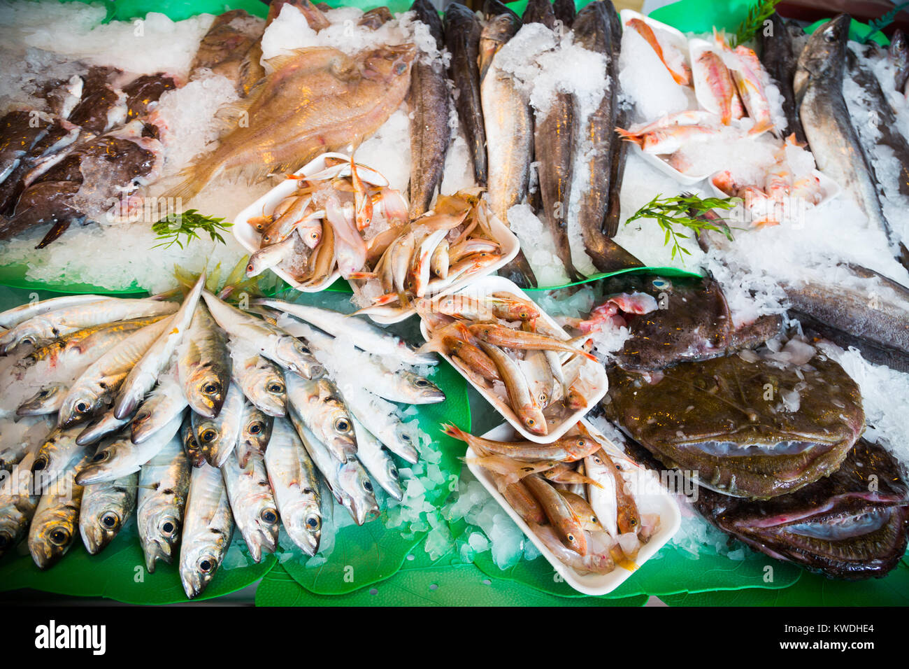 fresh fish on market seafood counter, close up Stock Photo - Alamy