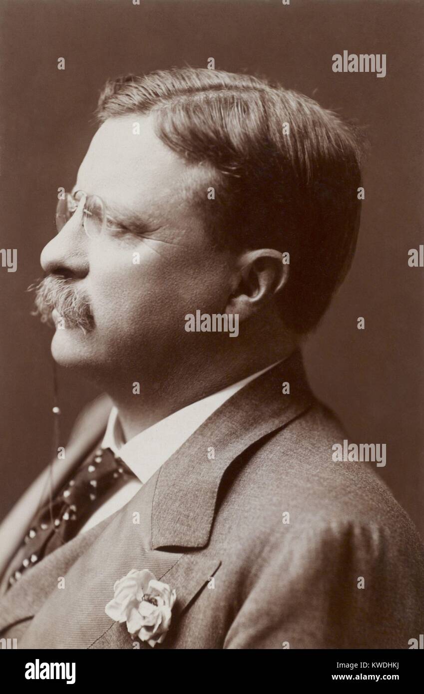 President Theodore Roosevelt, 1906 profile portrait wearing a flower in ...