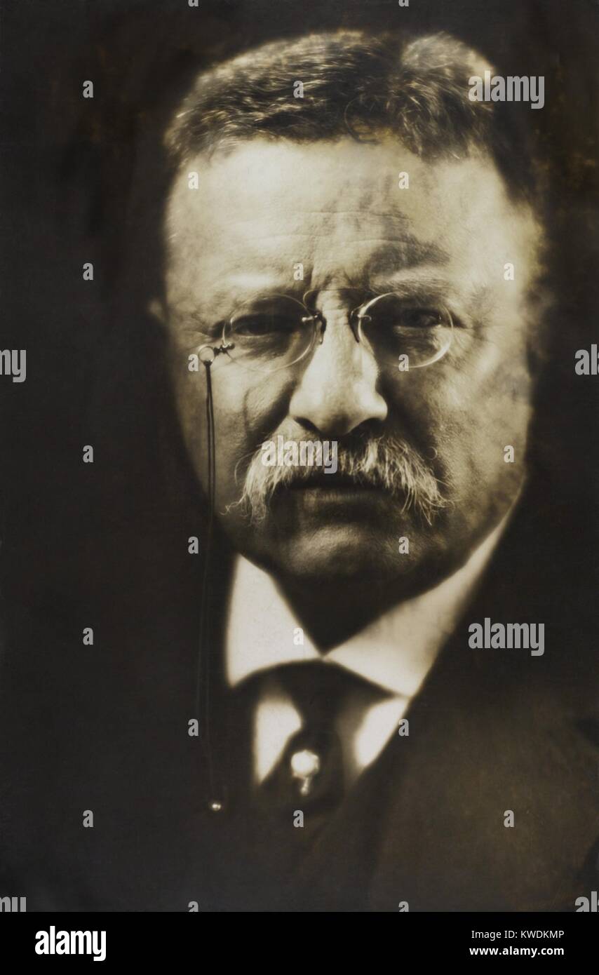 Col. Theodore Roosevelt seated in a carriage, wearing a fur-collared ...