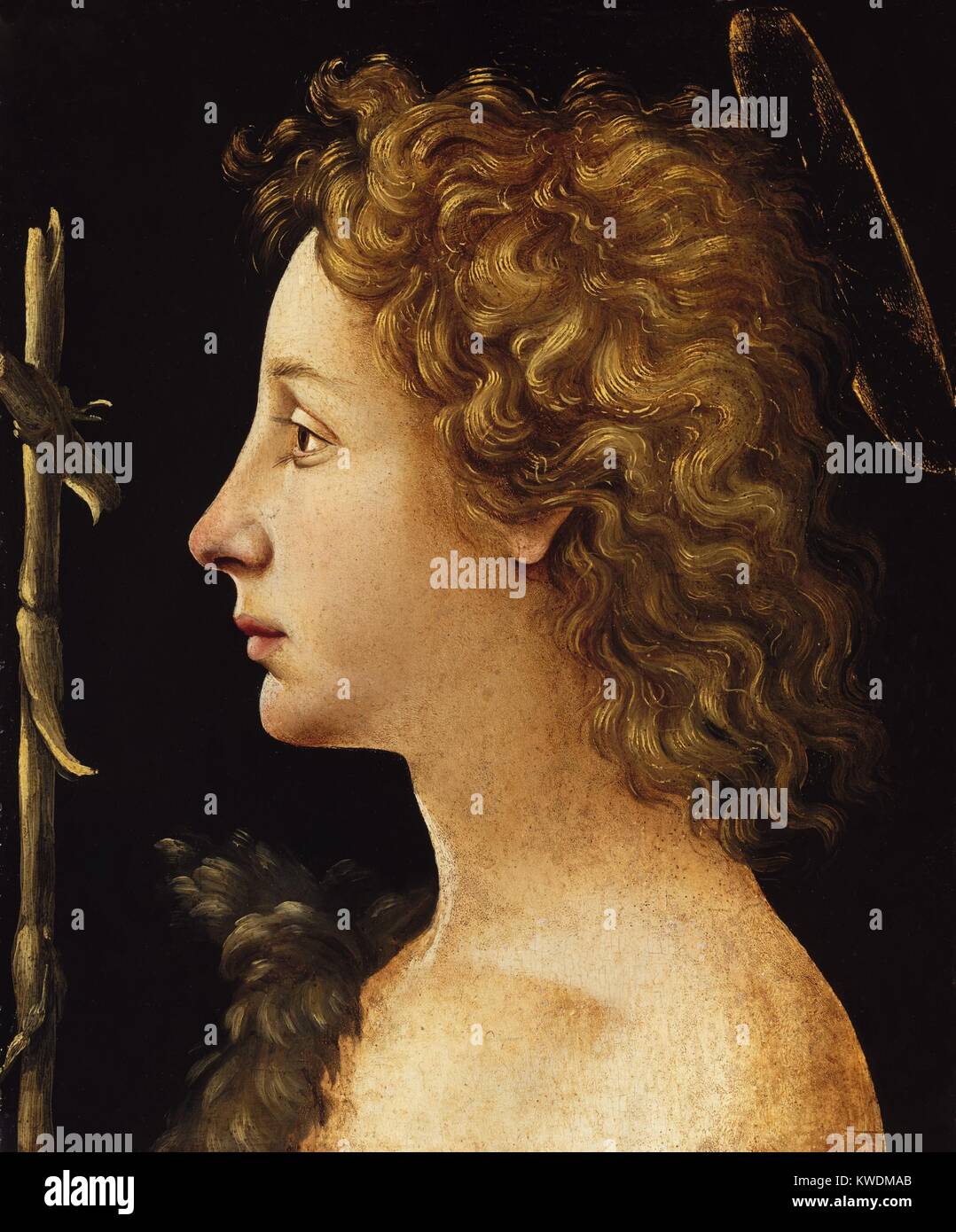 Italian renaissance forms hi-res stock photography and images - Alamy