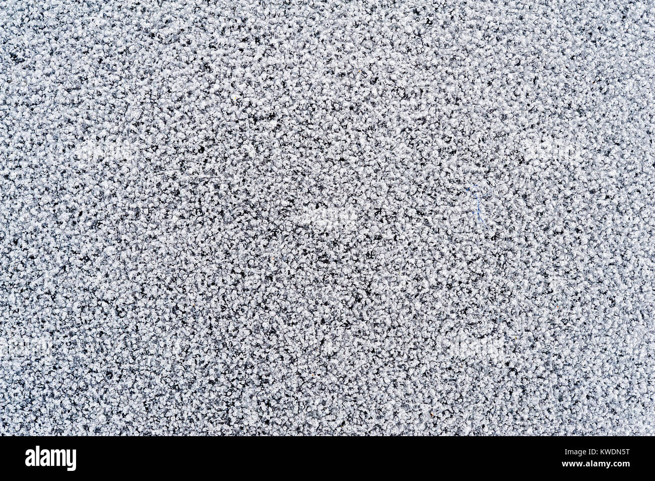 Bubbles of air in a sheet of ice on the surface of a pond in winter ...