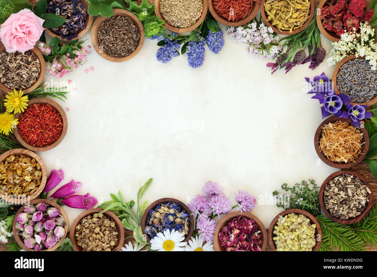 Medicinal herb and flower border with fresh and dried herbs and flowers ...