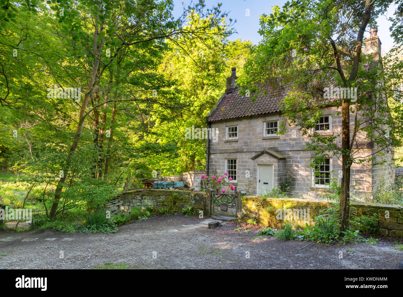 Midge Hall and Falling Foss Tes Garden in Sneaton Forest nr Whitby, May ...
