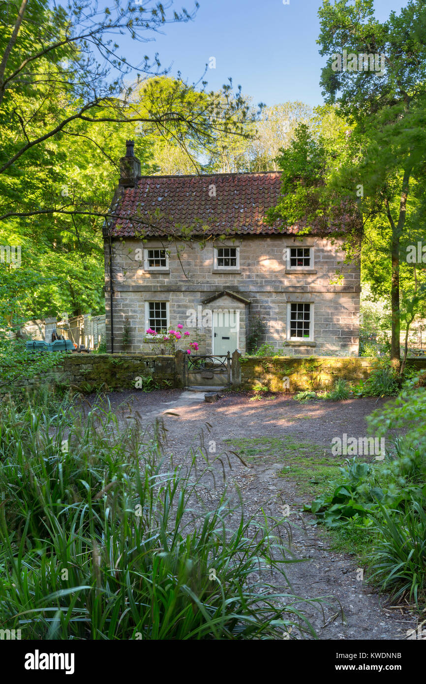 Midge Hall and Falling Foss Tes Garden in Sneaton Forest nr Whitby, May ...