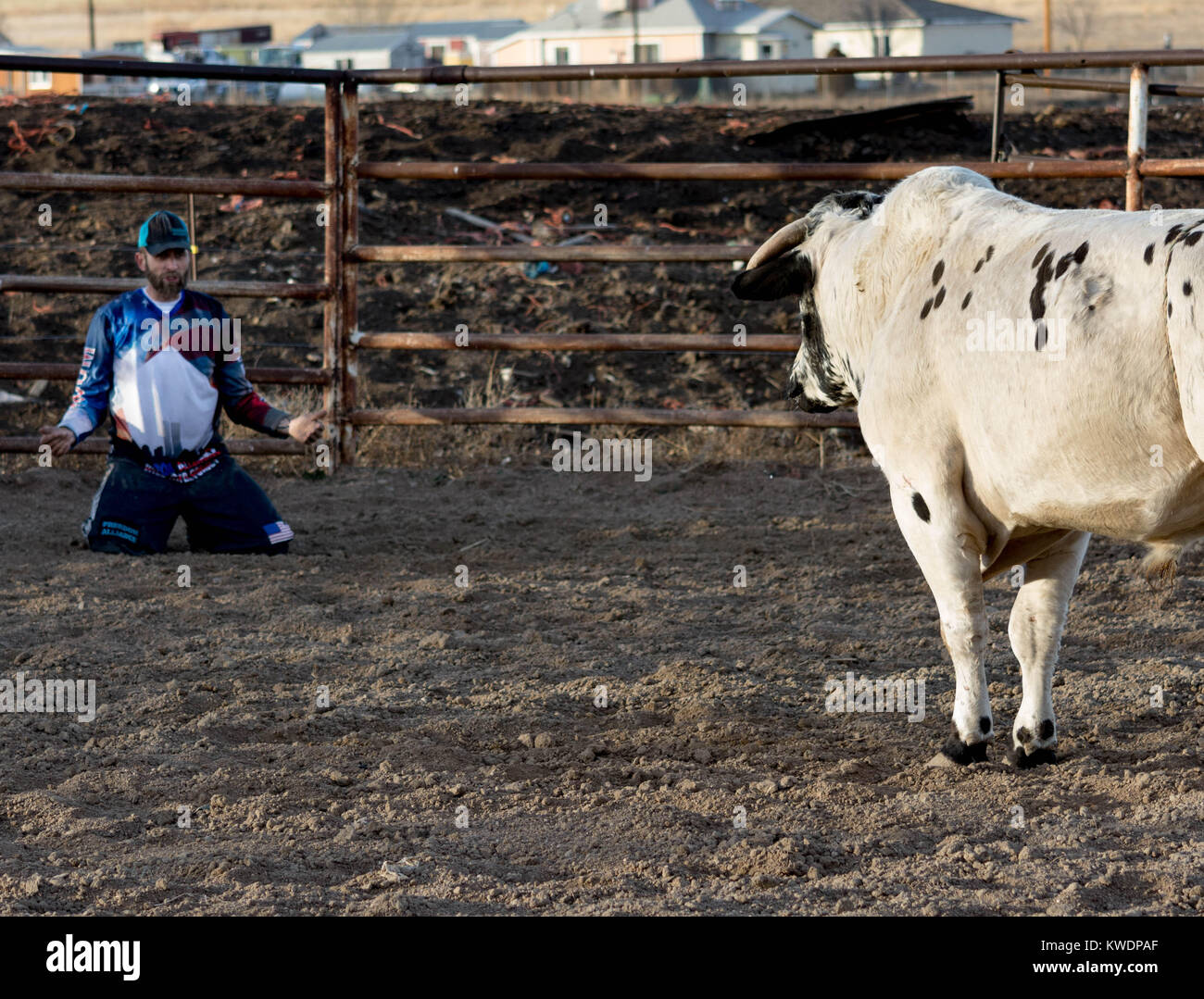 Rodeo clown hi-res stock photography and images - Alamy