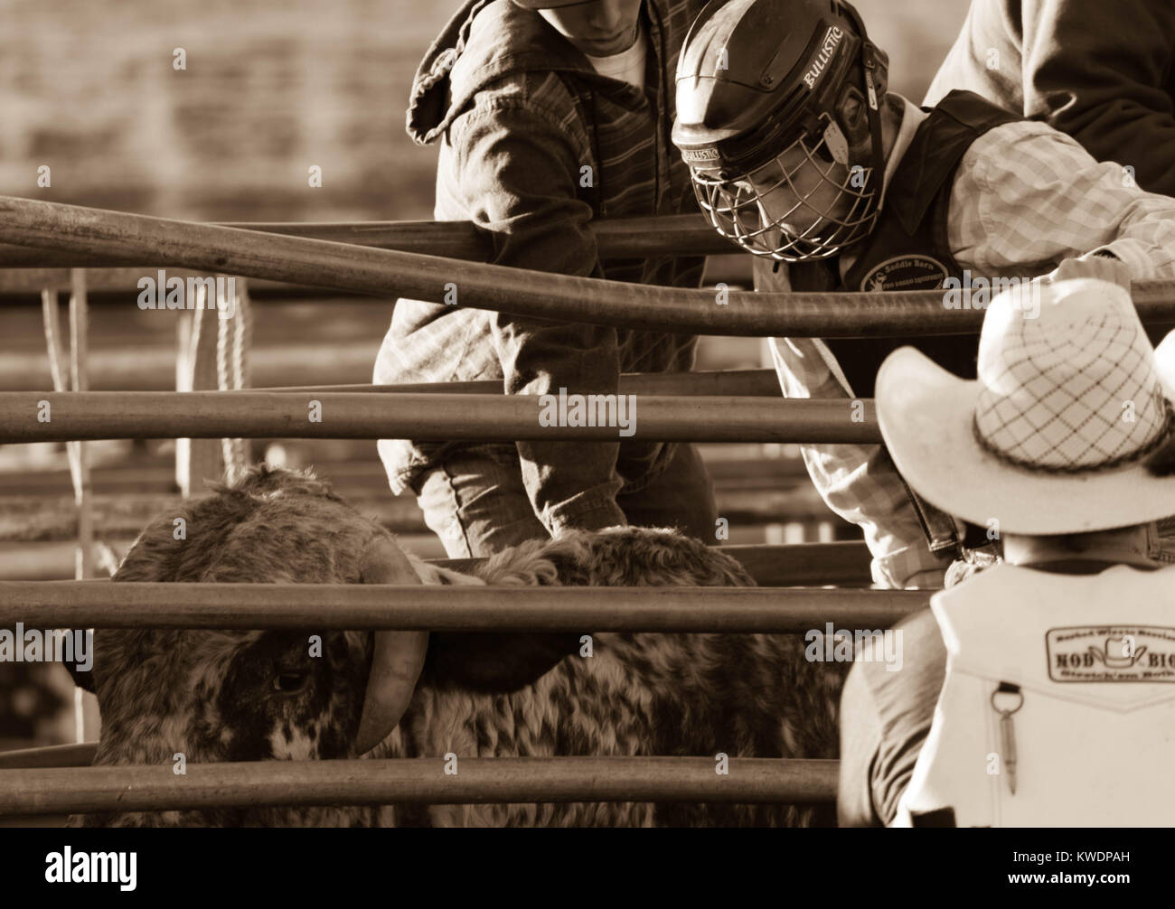 Ring and ride hi-res stock photography and images - Alamy