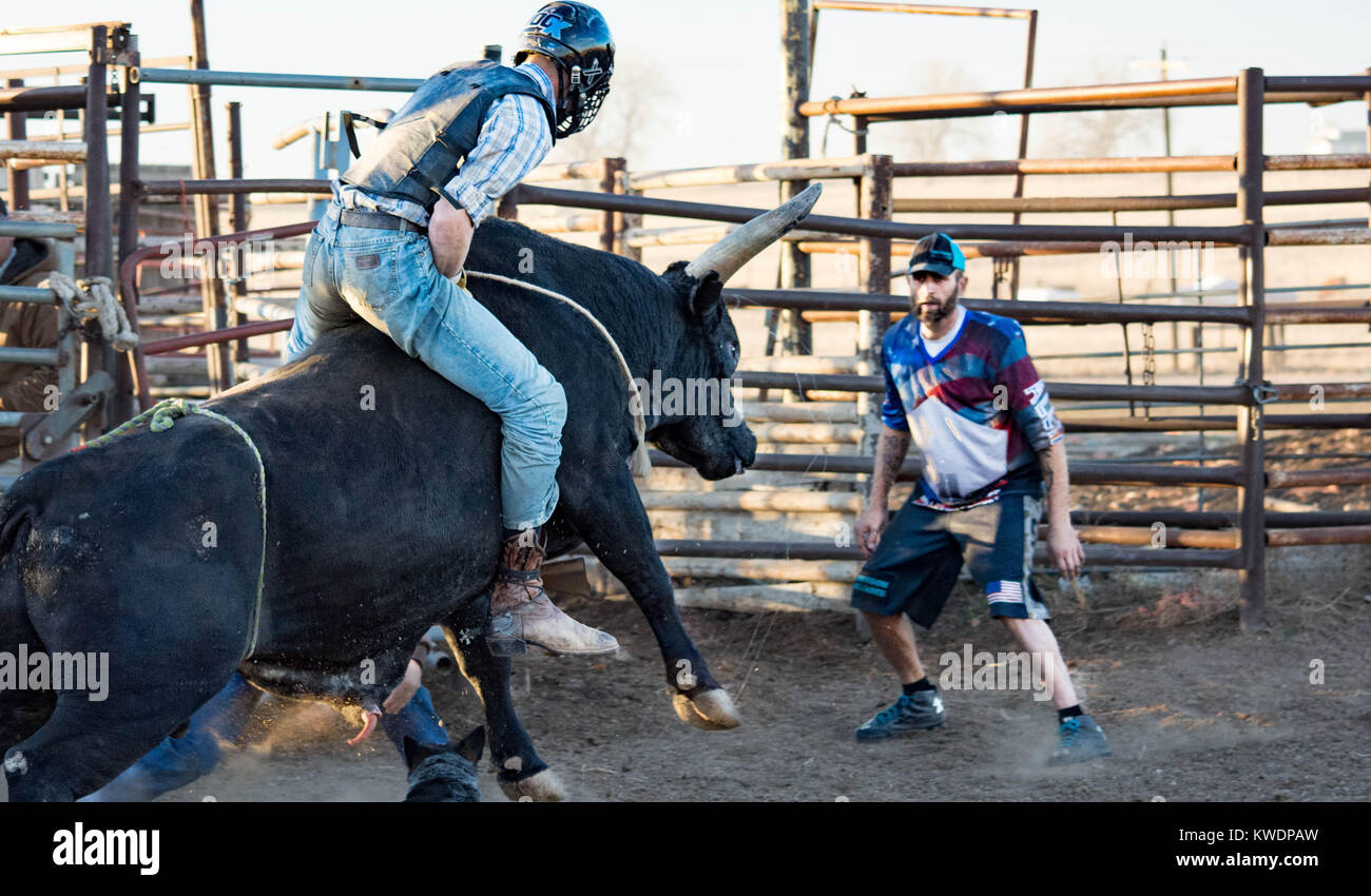 Rodeo ride hi-res stock photography and images - Alamy