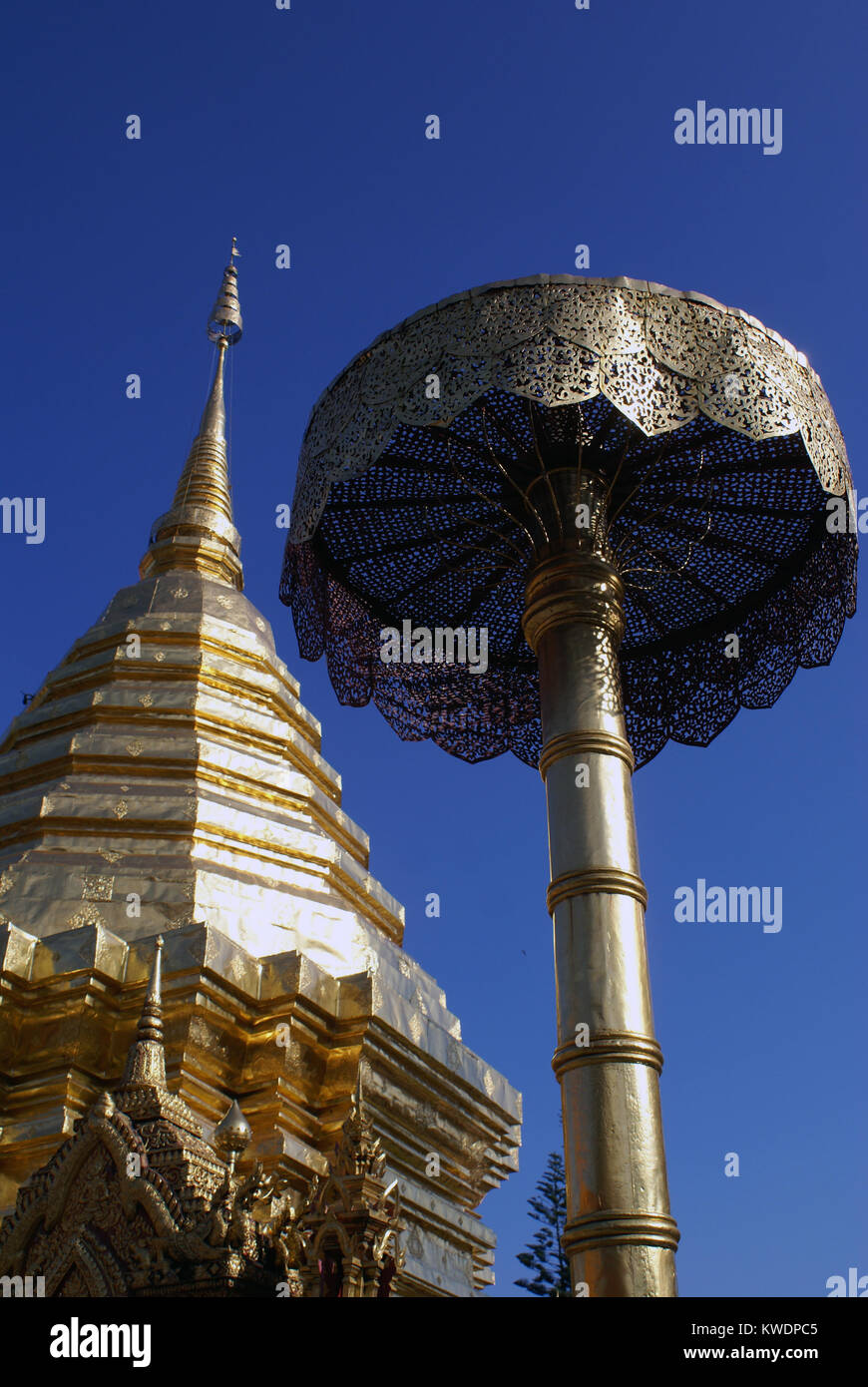 Golden stupa and umbrella in wat Doi Suthep, Chiang Mai Stock Photo - Alamy