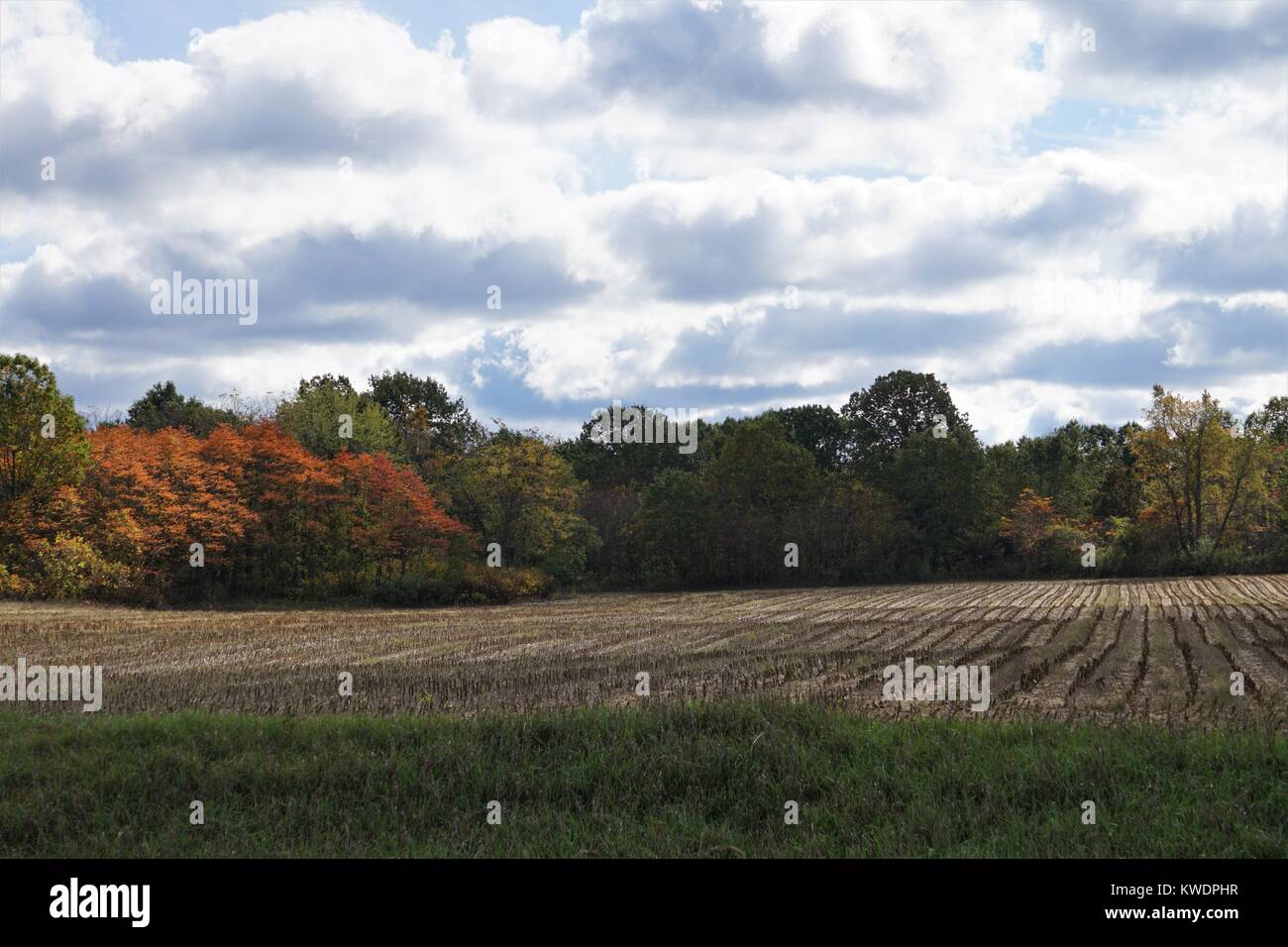Rural Farmland Under Heavy Fall Clouds Stock Photo - Alamy