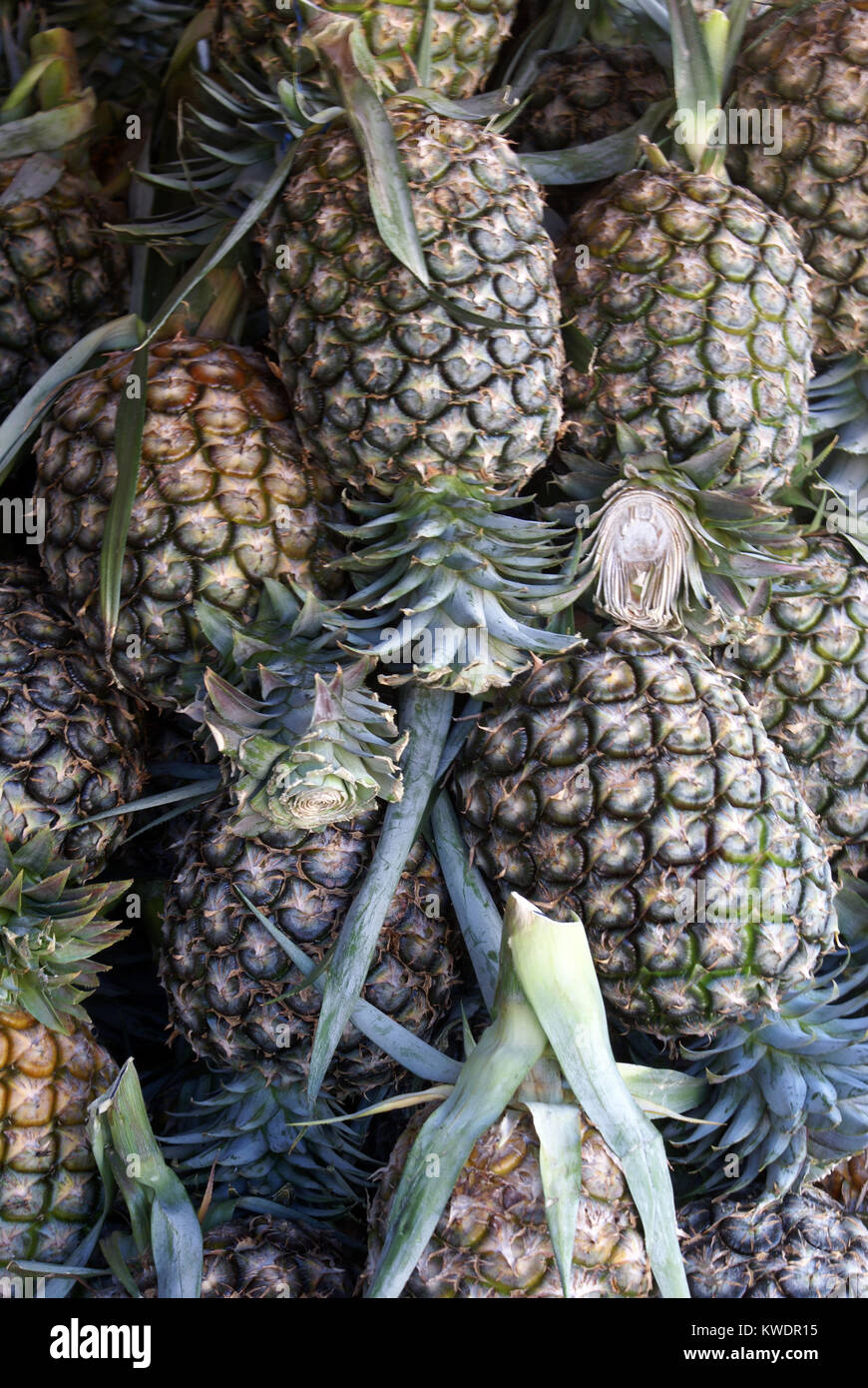 Pineapple on the fruit stall in shop Stock Photo - Alamy