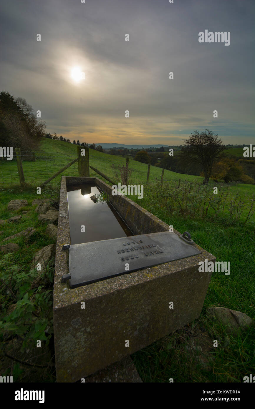 Farm, field, water trough, Shropshire Hills, England,UK Stock Photo - Alamy