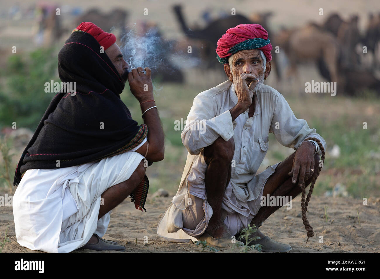 Camel man smoking in desert hi-res stock photography and images - Alamy