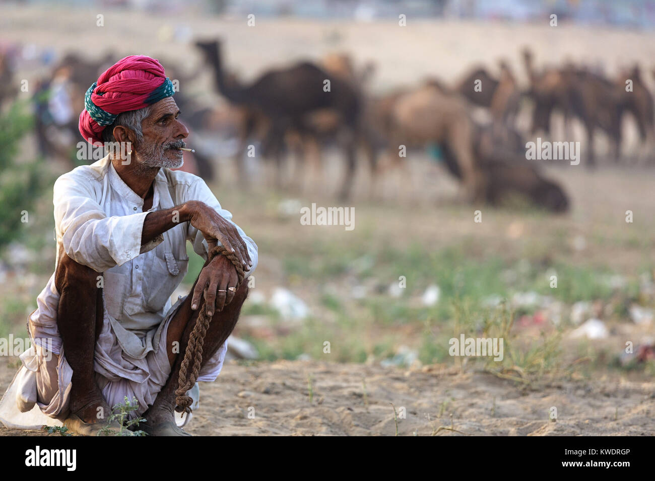 Camel man smoking in desert hi-res stock photography and images - Alamy