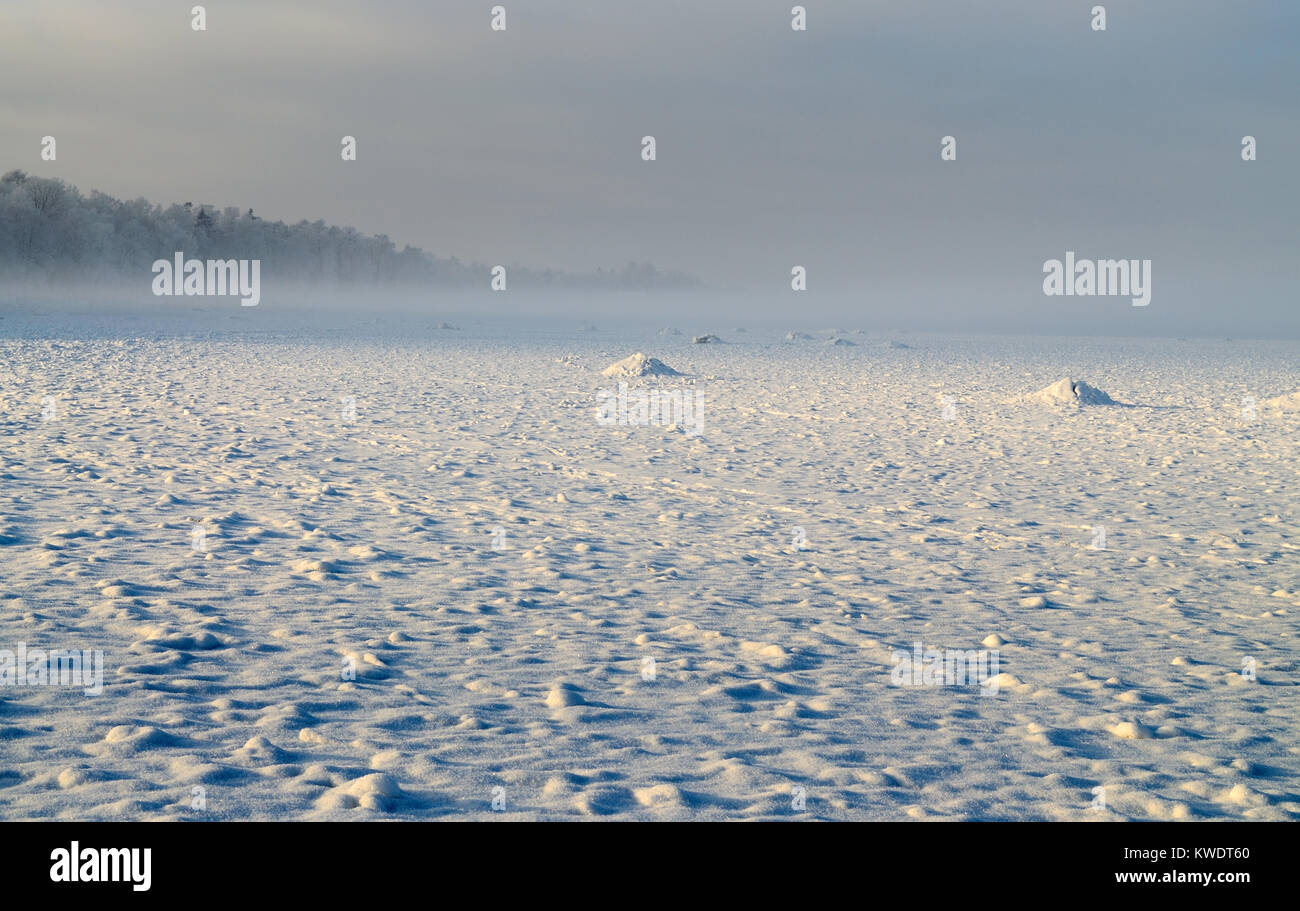 Frosty winter landscape.On the ground lies a lot of snow.It is very ...