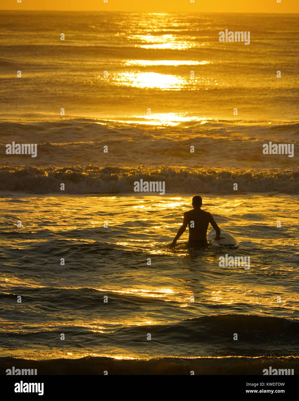 A surfer enters the waves at sunrise in Florida Stock Photo - Alamy