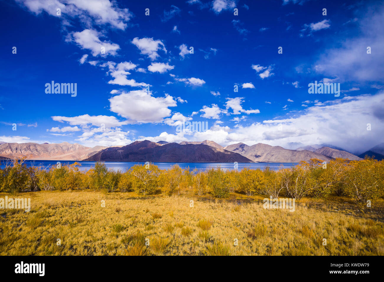 Pangong Lake, is an endorheic lake in the Himalayas Stock Photo - Alamy