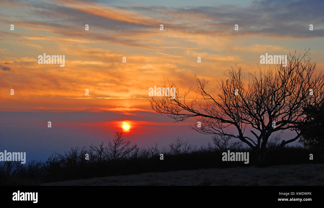 Sunset taken on Gregory bald in the Great Smoky Mountains Stock Photo ...