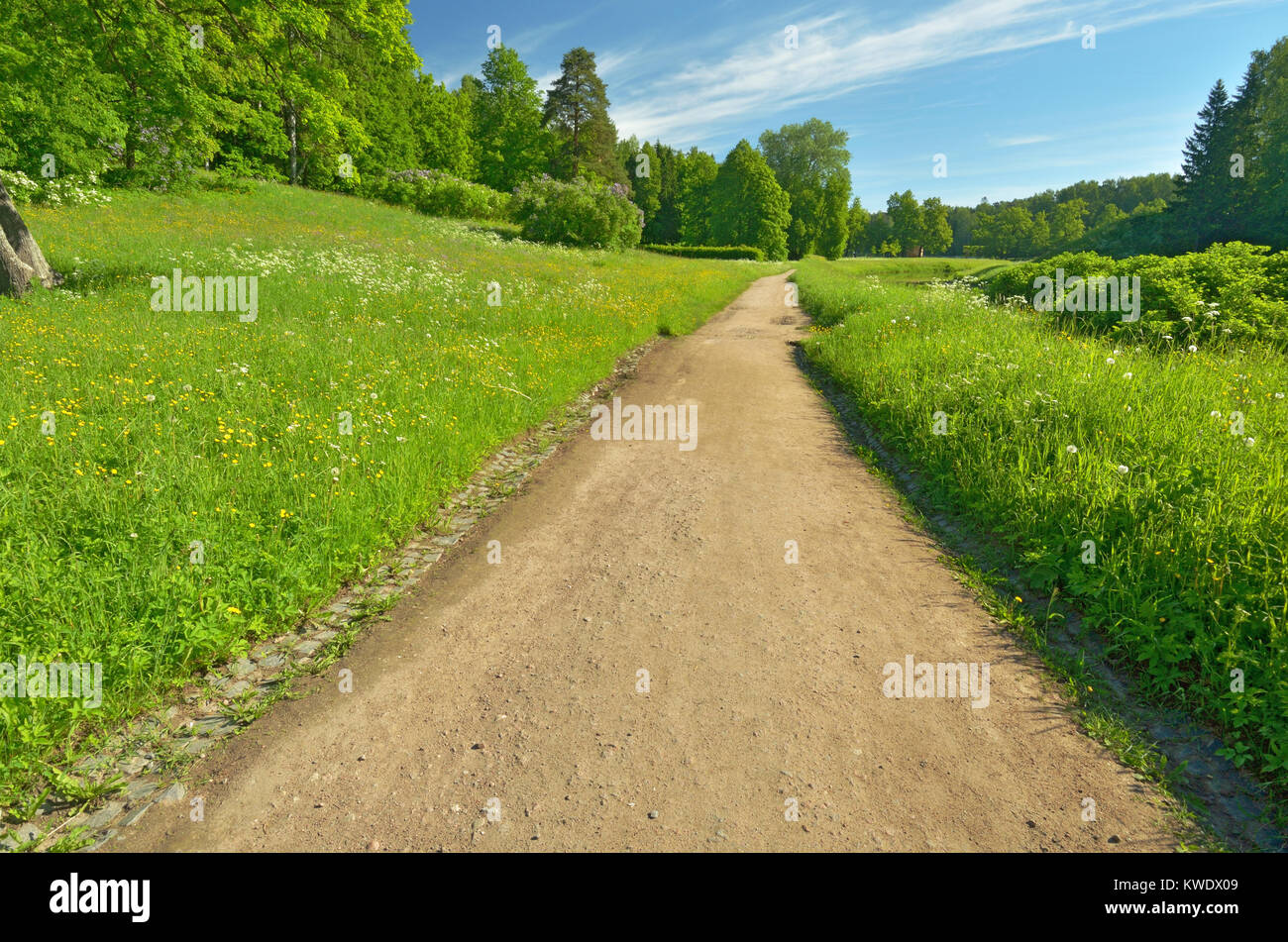 The wide, sandy trail in the woods for walks Stock Photo - Alamy