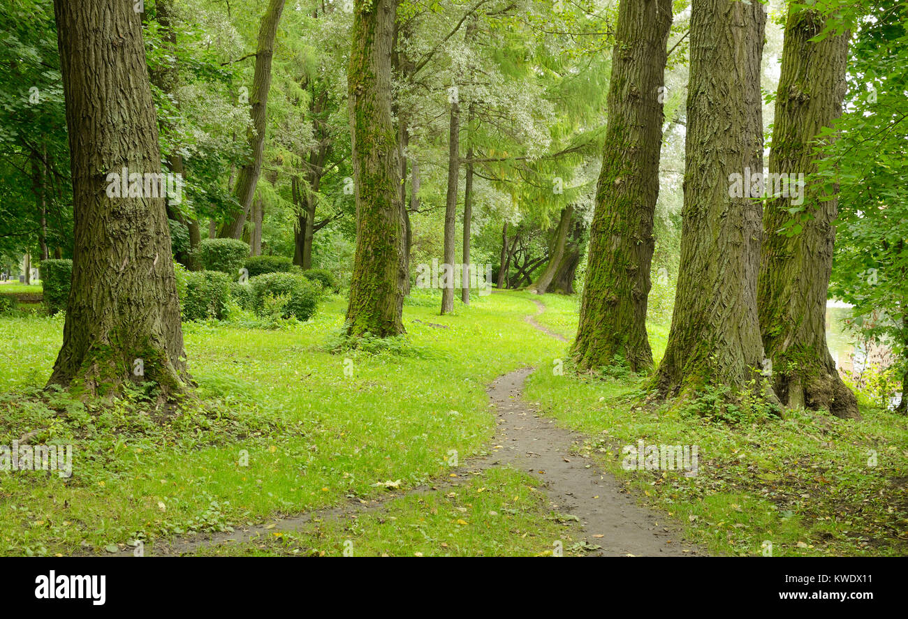 The Park is quiet and peaceful.You can relax among nature Stock Photo ...