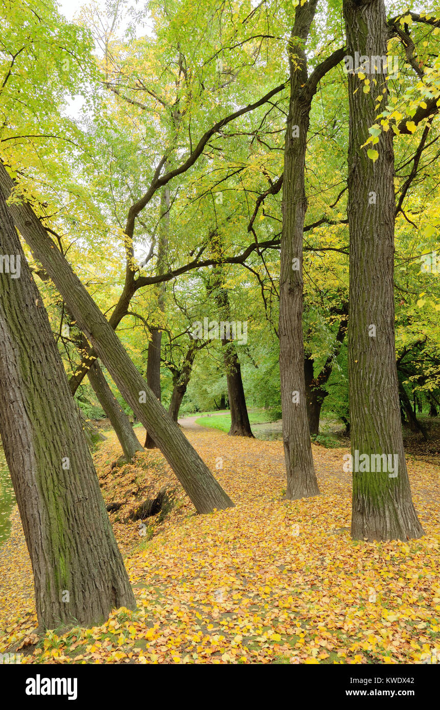 Beautiful autumn time.The leaves on the trees changed their color.They ...