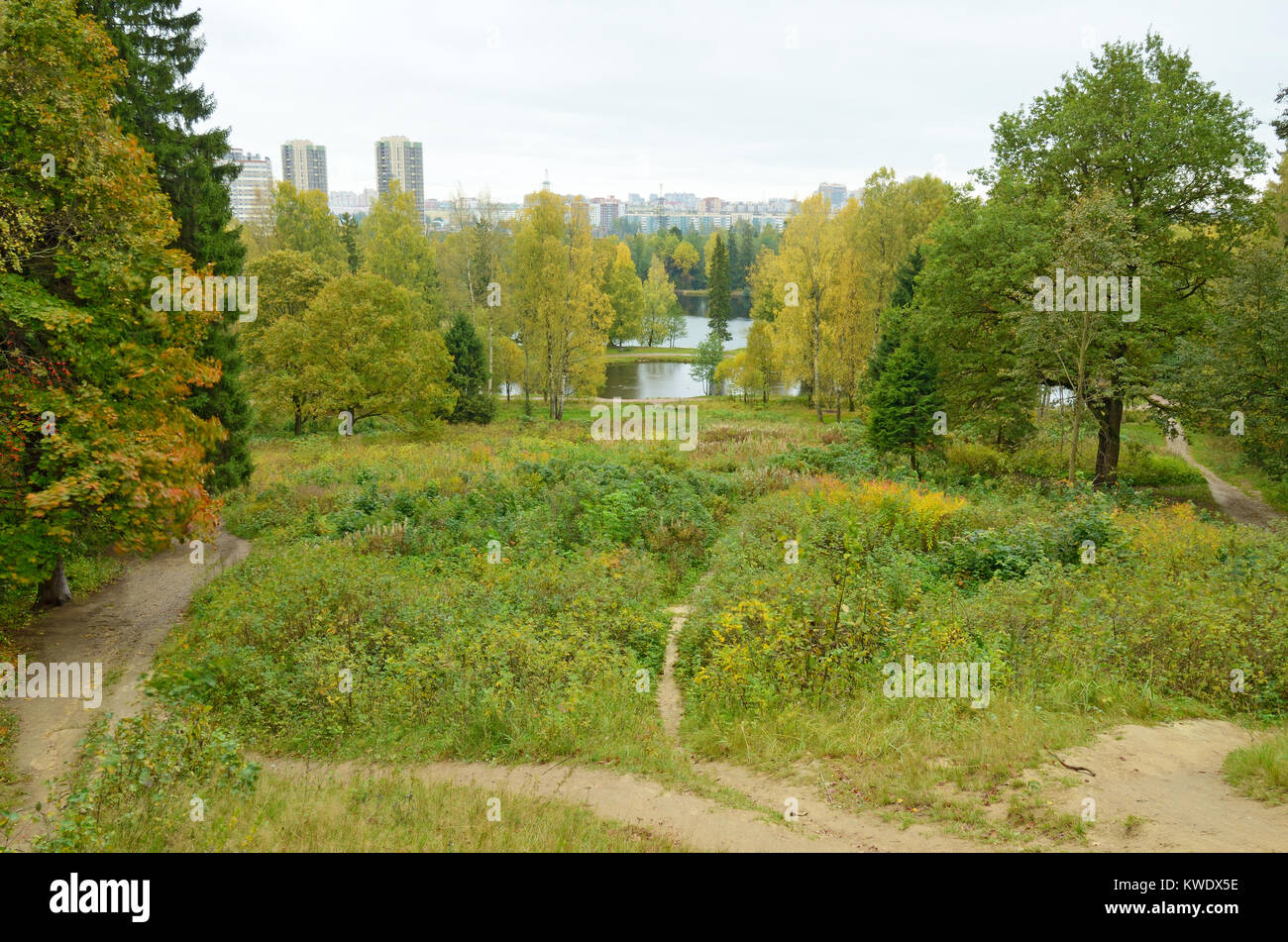 The view from the hill on the natural landscape.In autumn the leaves on ...