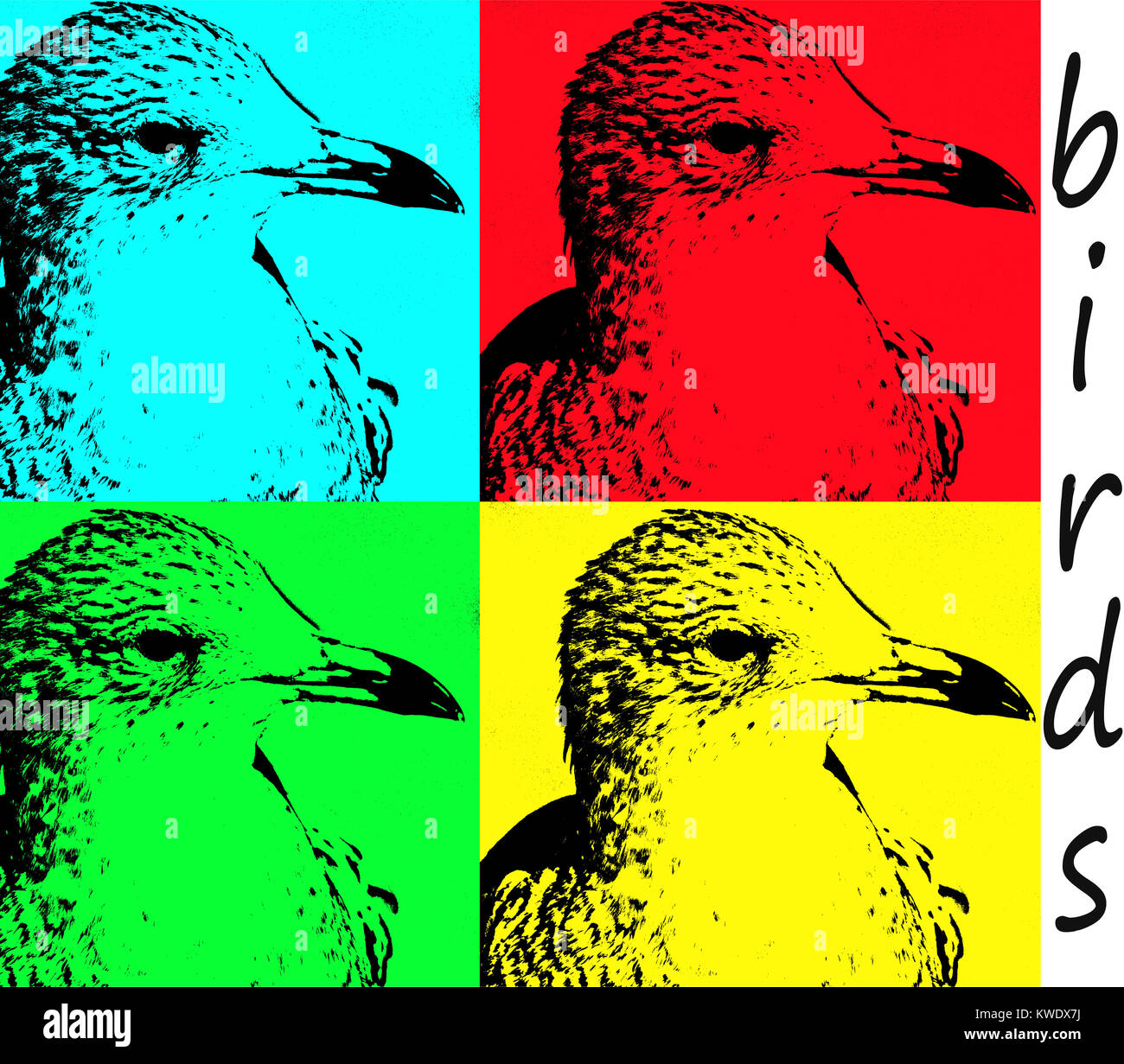 Birds poster done in Pop Art - photo of young seagull Stock Photo - Alamy
