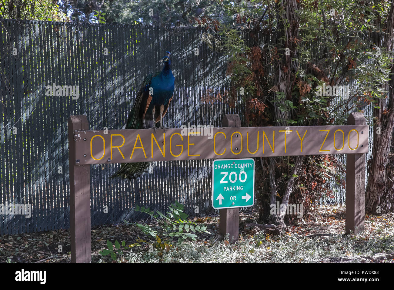 Zoo parking directions hi-res stock photography and images - Alamy
