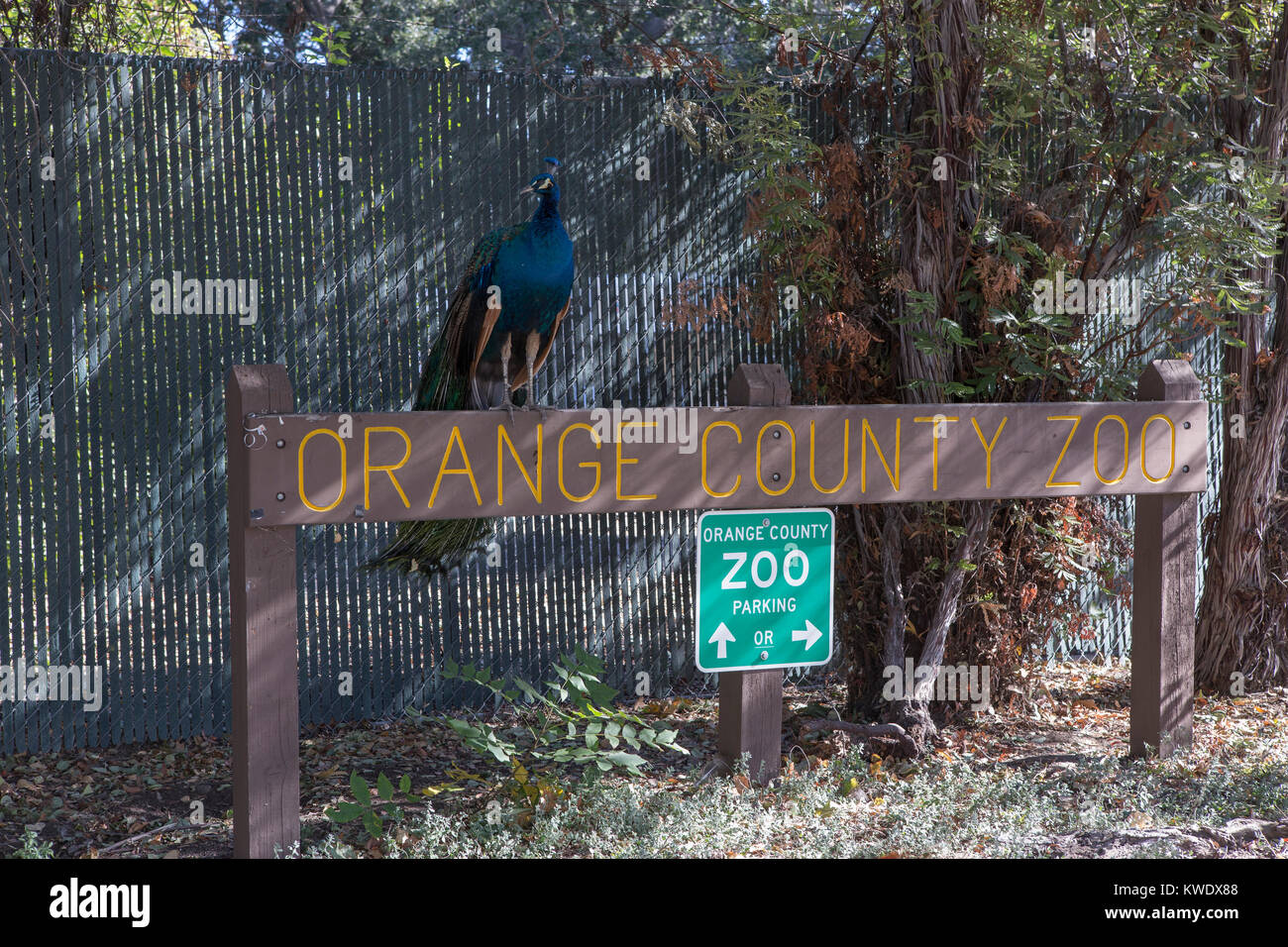 Zoo signpost hi-res stock photography and images - Alamy